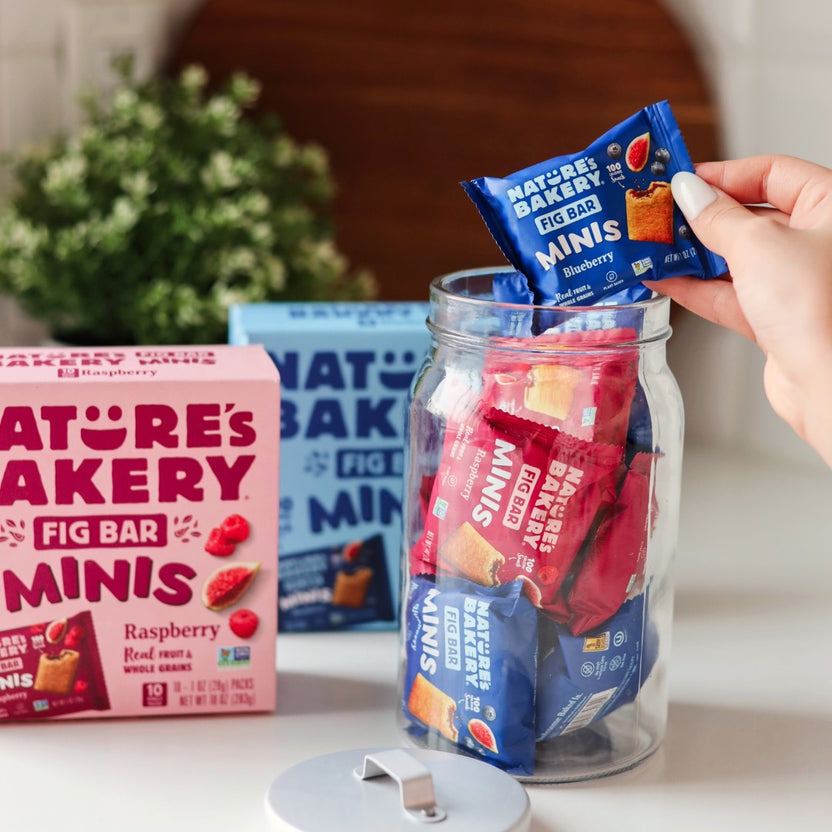 Fig Bar Minis - Blueberry – Nature's Bakery